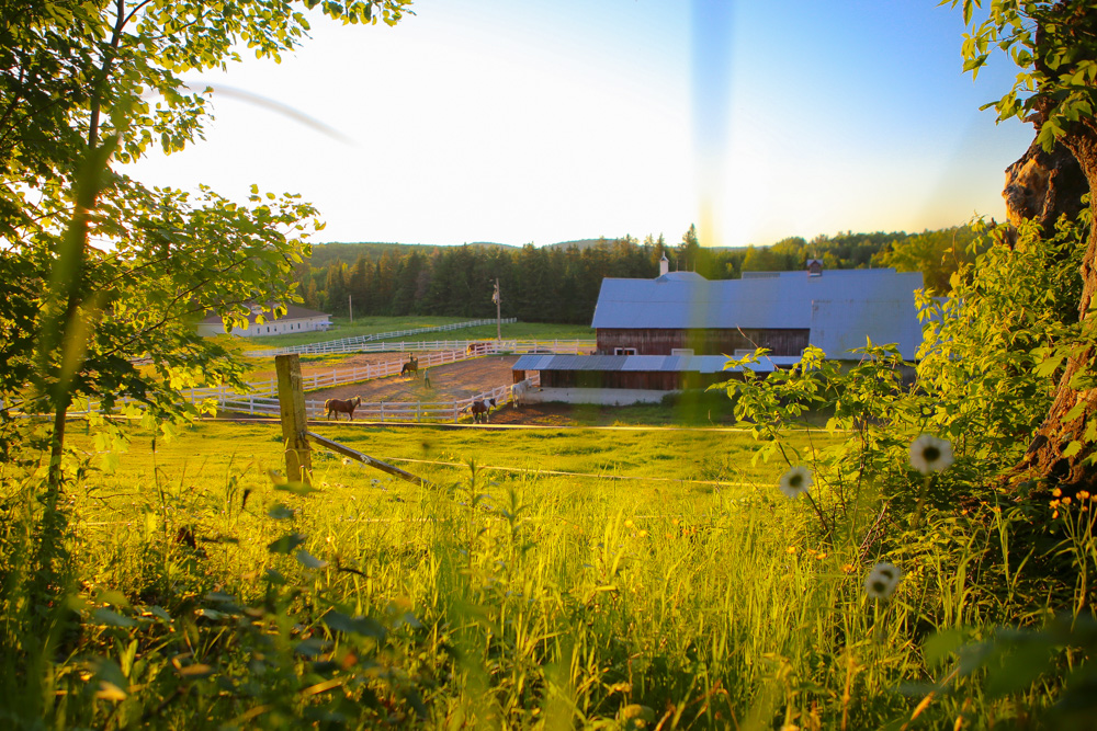 Equita Ranch – Le centre équestre N1 de Gatineau-Ottawa!