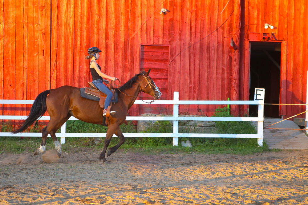 Equita Ranch – Le centre équestre N1 de Gatineau-Ottawa!