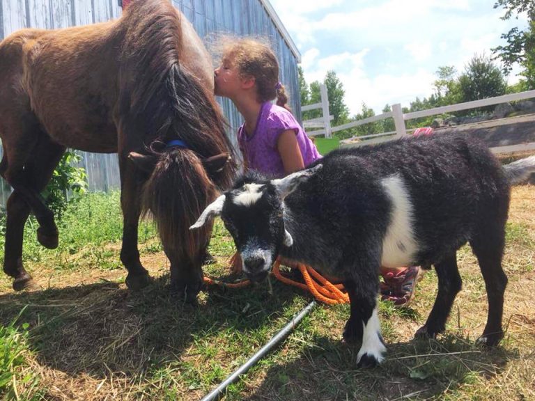 Equita Ranch – Le centre équestre N1 de Gatineau-Ottawa!